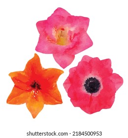 Bright Flowers Vector Illustration Set Flowers Stock Vector (Royalty ...