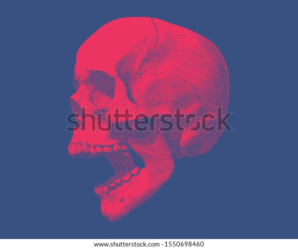 Bright Red Engraving Drawing Human Skull Stock Vector (Royalty Free ...