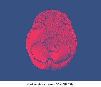 227 Forensic science drawings Stock Illustrations, Images & Vectors ...