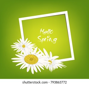 Bright Spring Banners Design Frame Background Stock Vector (Royalty ...