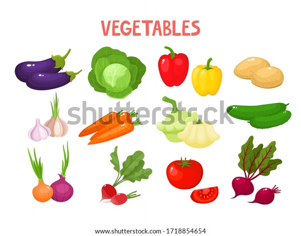 Bright Vector Illustration Colorful Vegetables Fresh Stock Vector ...