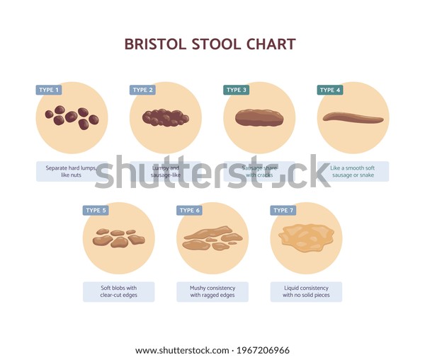Bristol Stool Chart Medicine Description Human : image vectorielle de ...