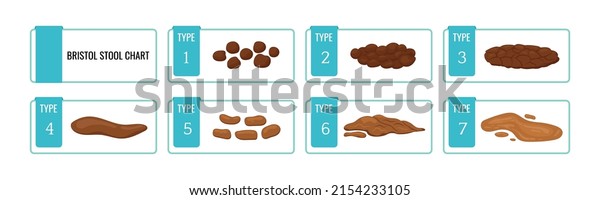 Bristol Stool Chart Scale Feces Structure庫存向量圖（免版稅）2154233105 ...