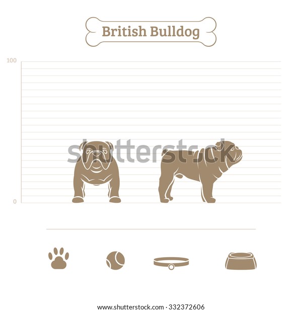 British Bulldog on the dimensional scale. Items for dogs. Face and ...