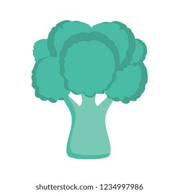 Broccoli Vegetable Plant Stock Vector (Royalty Free) 1234997986 ...