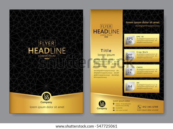 Brochure Template Design Gold Theme Design Stock Vector (Royalty Free ...