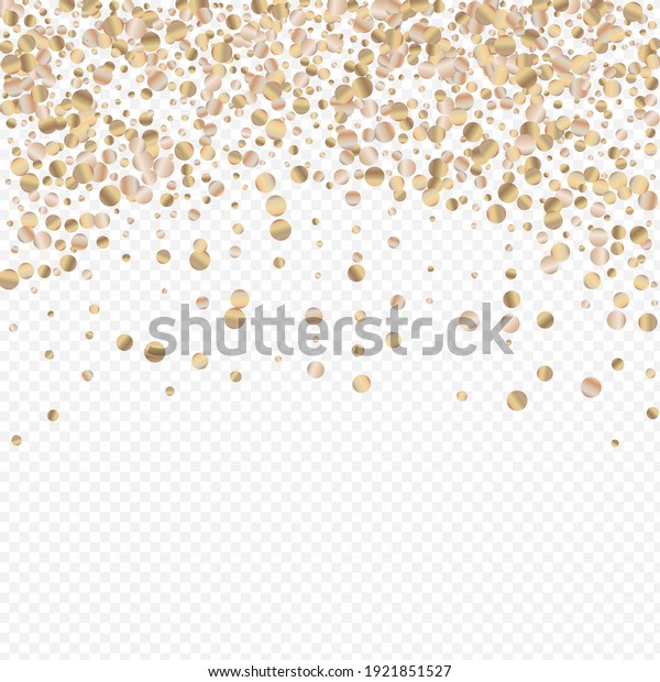 Bronze Round Golden Transparent Background Isolated Stock Vector ...