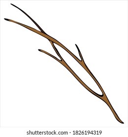 Brow Twig Vector Element Doodle Style Stock Vector (Royalty Free ...
