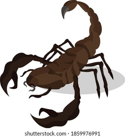 280 Angry scorpion Images, Stock Photos & Vectors | Shutterstock