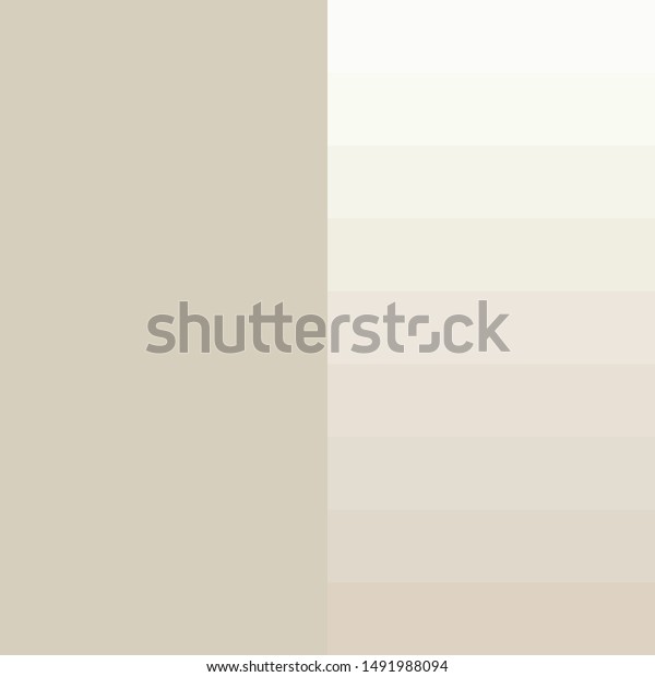 Brown Color Palette Vector Illustration Stock Vector (Royalty Free ...