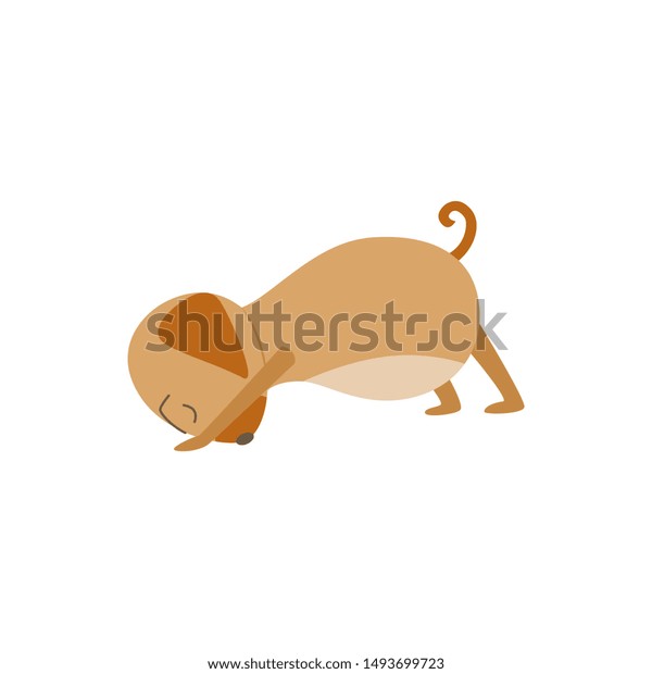 Brown Dog Stretching Yoga Pose Cartoon Stock Vector (Royalty Free ...
