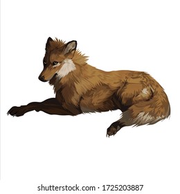 Brown Fox Vector Design Illustration Stock Vector (Royalty Free ...