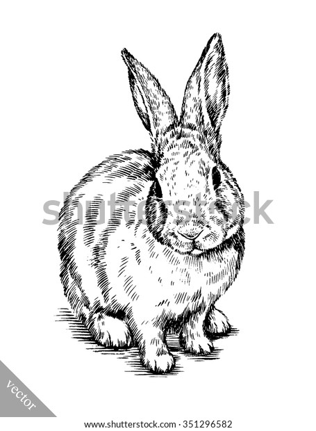 Brush Painting Ink Draw Isolated Rabbit Stock Vector (Royalty Free ...