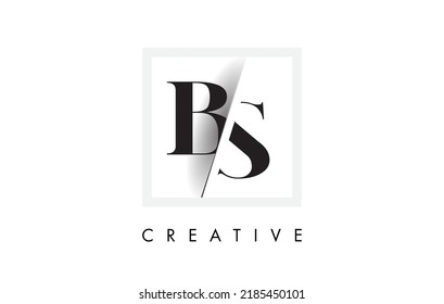 Bs Letter Logo Design Creative Intersected Stock Vector (Royalty Free ...