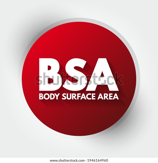 Bsa Body Surface Area Acronym Concept Stock Vector (Royalty Free ...