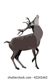 Buck Deer Stock Vector (Royalty Free) 42241462 | Shutterstock