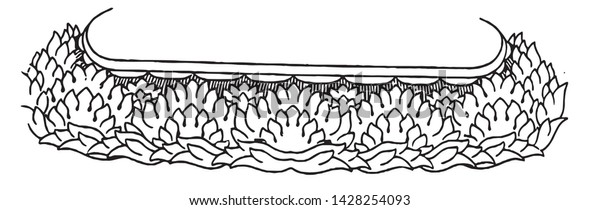 Buddhist Lotus Throne Line Drawing: เวกเตอร์สต็อก (ปลอดค่าลิขสิทธิ์ ...