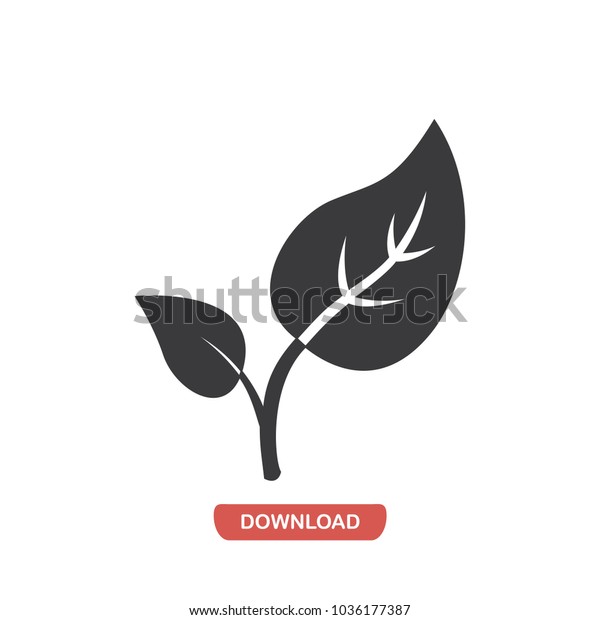 Budding Leaves Vector Icon Stock Vector (Royalty Free) 1036177387 ...