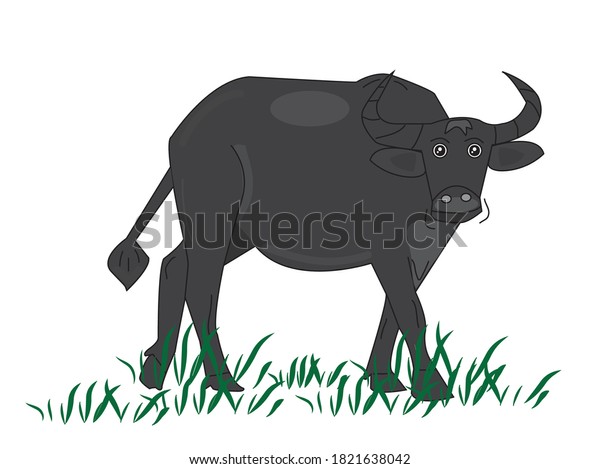 Buffalo Eating Grass Field Stock Vector (Royalty Free) 1821638042 ...
