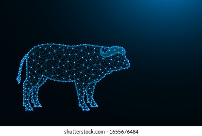 Buffalo Made Points Lines On Dark Stock Vector (Royalty Free ...