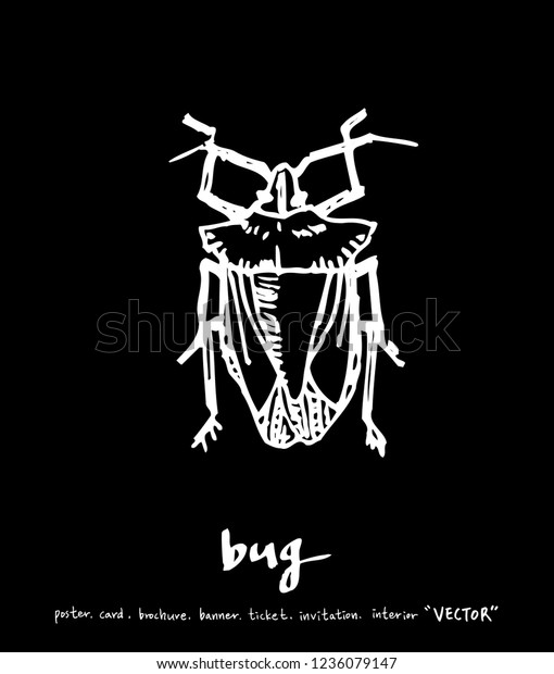 Bug Illustration Hand Drawn Insect Sketch Stock Vector (Royalty Free ...