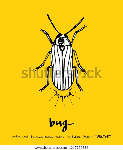 Bug Sketch Hand Drawn Insect Illustration Stock Vector (Royalty Free ...