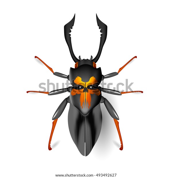 Bug Skull Insect Icon Pads Vector Stock Vector (Royalty Free) 493492627 ...