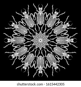 Bugs Mandala On Transparent Background Stock Vector (Royalty Free ...