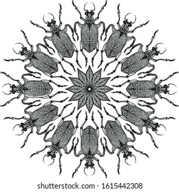 Bugs Mandala On Transparent Background Stock Vector (Royalty Free ...