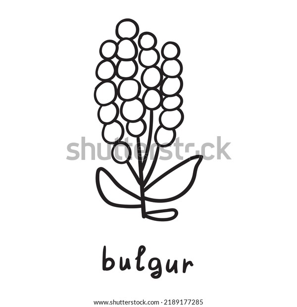 Bulgur. Icono de contorno dibujado a: vector de stock (libre de ...