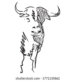 Bull Graphic Design Vector Illustration Icon Stock Vector (Royalty Free ...