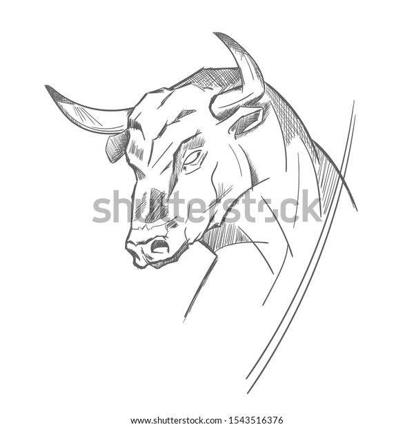 Bull Ink Drawing Vector Illustration 库存矢量图（免版税）1543516376 | Shutterstock