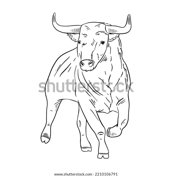 Bull Outline Vector Illustration Isolated On Stock Vector (Royalty Free ...