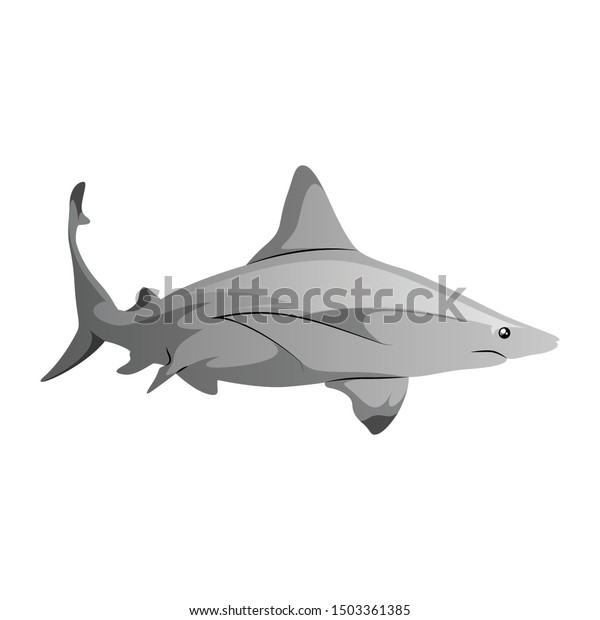 Bull Shark Fish Vector Illustration Isolated Stock Vector (Royalty Free ...