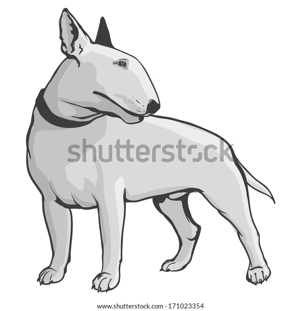 Bull Terrier Stock Vector (Royalty Free) 171023354