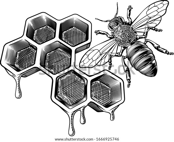 Bumble Bee Bumblebee Honeycomb Dripping Comb Stock Vector (Royalty Free ...