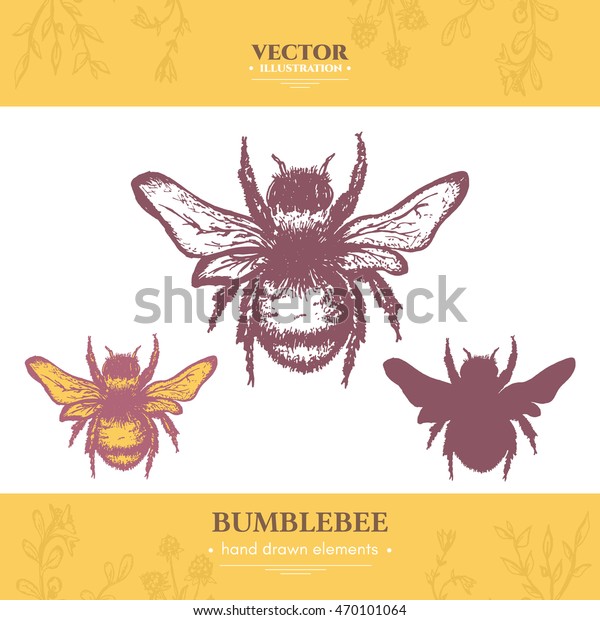 Bumblebee Collection Bumblebee Vintage Style Ink Stock Vector (Royalty ...