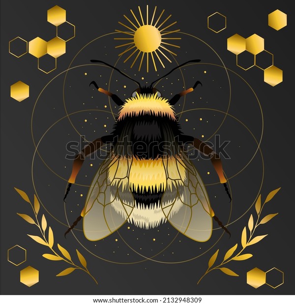 Bumblebee Vector Drawing Top View Highly: เวกเตอร์สต็อก (ปลอดค่า ...