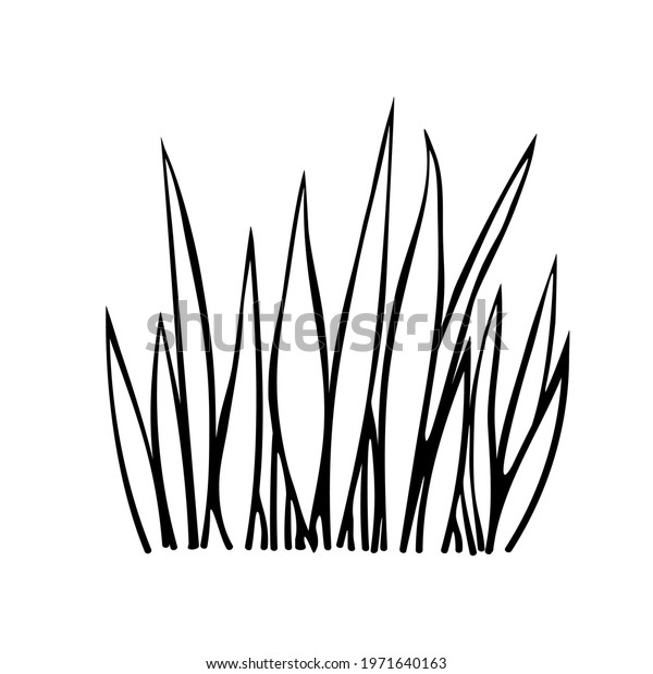 Bunch Grass Hand Drawn Simple Black: เวกเตอร์สต็อก (ปลอดค่าลิขสิทธิ์ ...