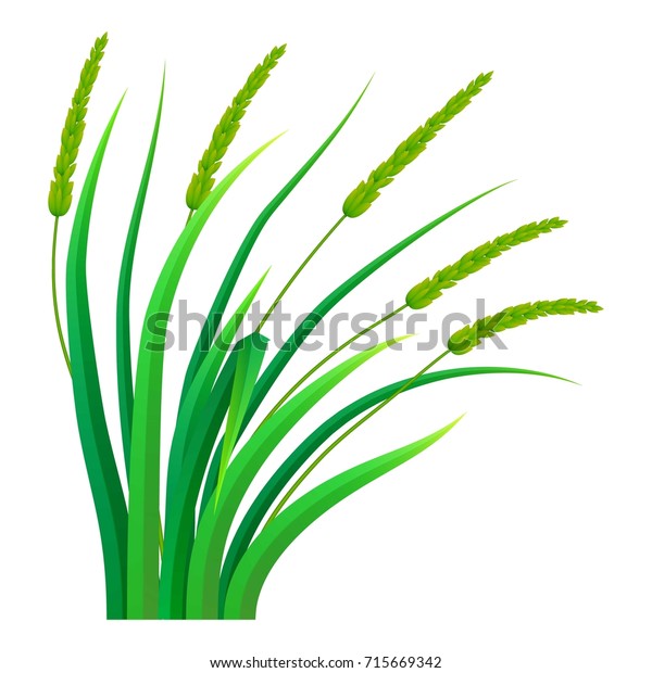 Bunch Grass Icon Realistic Illustration Bunch Stock Vector (Royalty ...