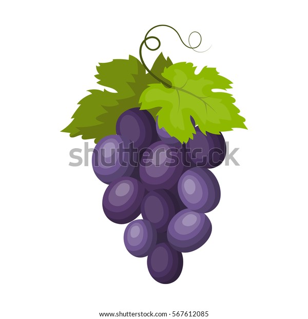 Bunch Wine Grapes Icon Cartoon Style Stock Vector (Royalty Free ...