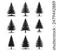 Pine Tree Line Drawing Photos, Images & Pictures | Shutterstock