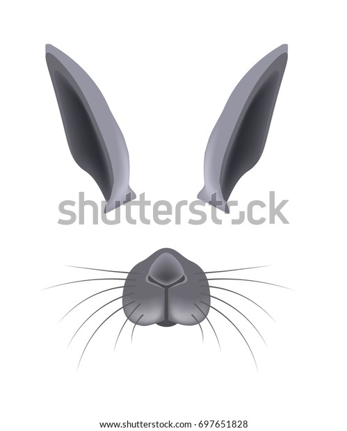 Bunny Animal Face Filter Template Video Stock Vector (Royalty Free ...