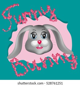 178 Floppy eared rabbit cartoons Images, Stock Photos & Vectors ...