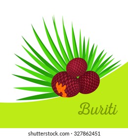 Buriti Nuts Mauritia Flexuosa Mauriti Palm: vetor stock (livre de ...
