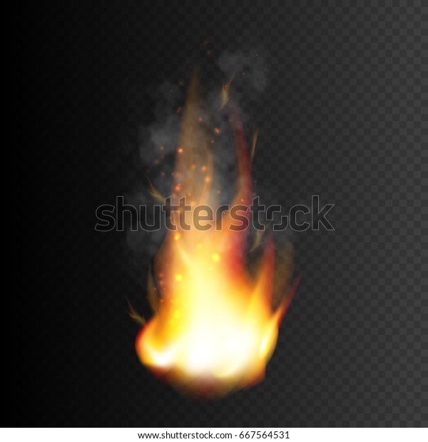 Burning Fire Smoke Sparks Isolated Vector Stock Vector (Royalty Free ...