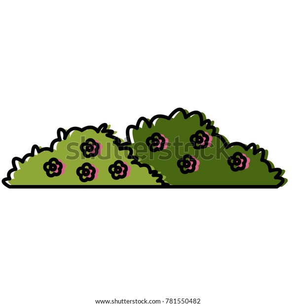 Bush Isolated Symbol Stock Vector (Royalty Free) 781550482