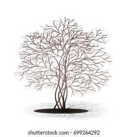 Oak Tree Without Leaves Vector Illustration: เวกเตอร์สต็อก (ปลอดค่า ...