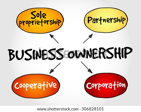 Business Ownership Mind Map Concept Stock Vector (Royalty Free ...