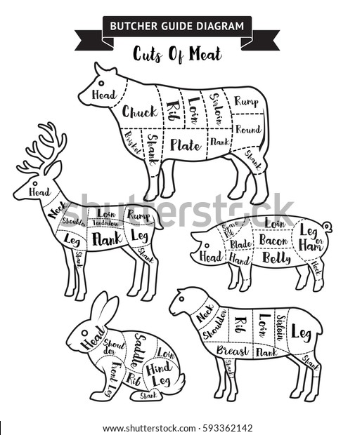 Butcher Guide Cuts Meat Diagram Vector Stock Vector (Royalty Free ...